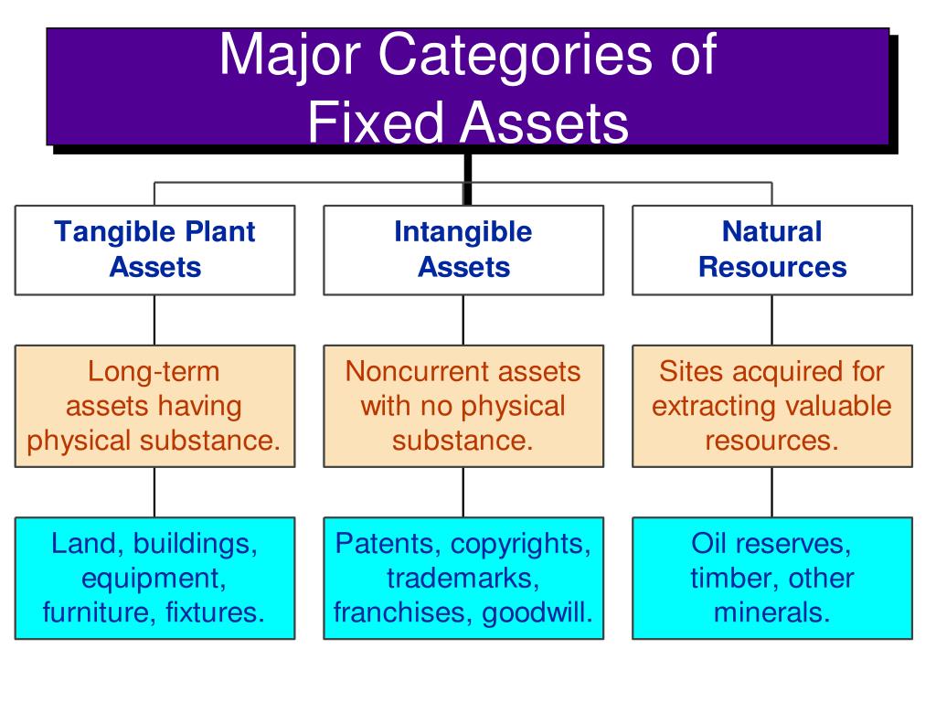 Fixed Assets Definition Examples And Types In A Busin