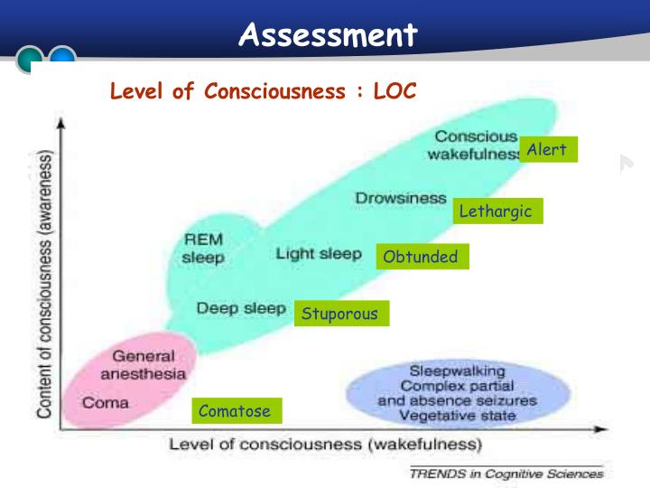 PPT - ภาวะความดันในกะโหลกศีรษะสูง ( Increased intracranial pressure ...