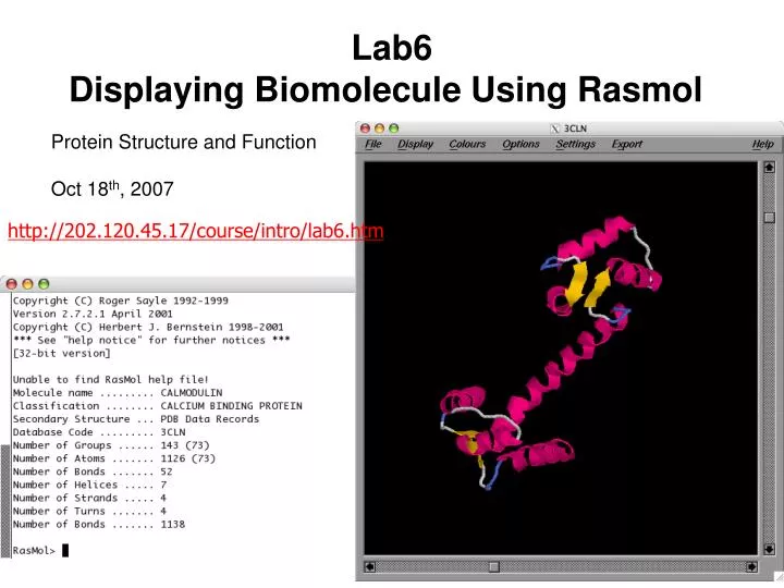 PPT - Lab6 Displaying Biomolecule Using Rasmol PowerPoint Presentation ...