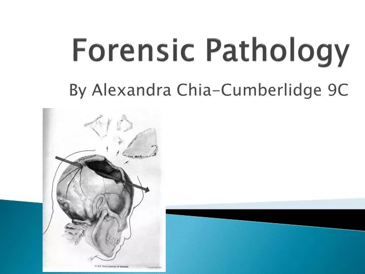 PPT - Forensic Pathology PowerPoint Presentation, free download - ID ...