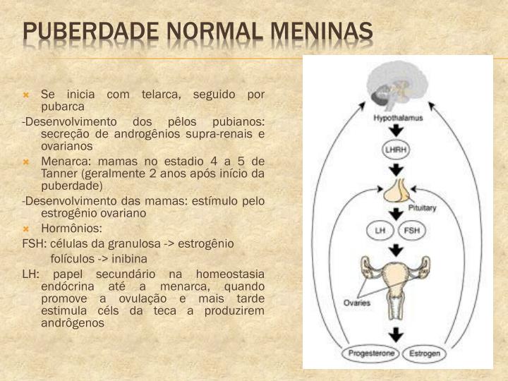PPT - Puberdade precoce PowerPoint Presentation - ID:6155165