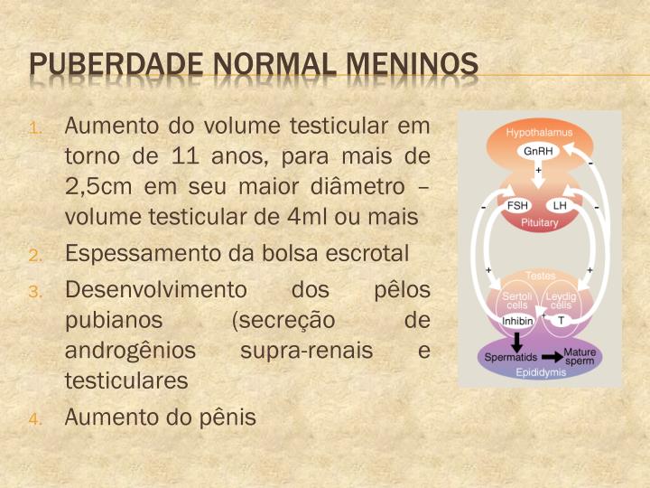 PPT - Puberdade precoce PowerPoint Presentation - ID:6155165