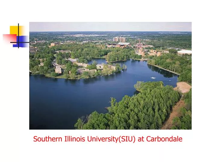 PPT - Southern Illinois University(SIU) at Carbondale PowerPoint ...