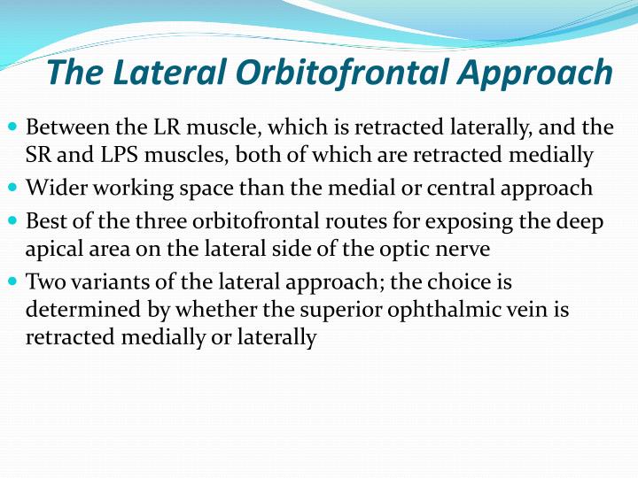 PPT - OPTIC NERVE : APPLIED ANATOMY, CLINICAL EVALUATION AND APPROACHES ...