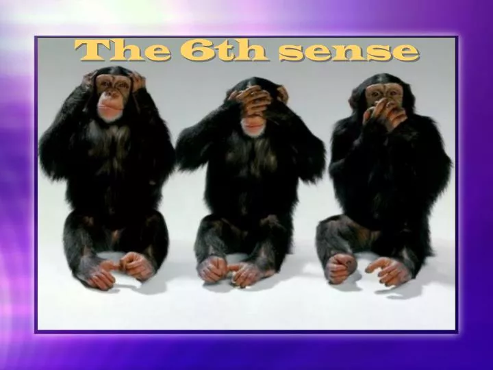 PPT - The 6th sense PowerPoint Presentation, free download - ID:6157118