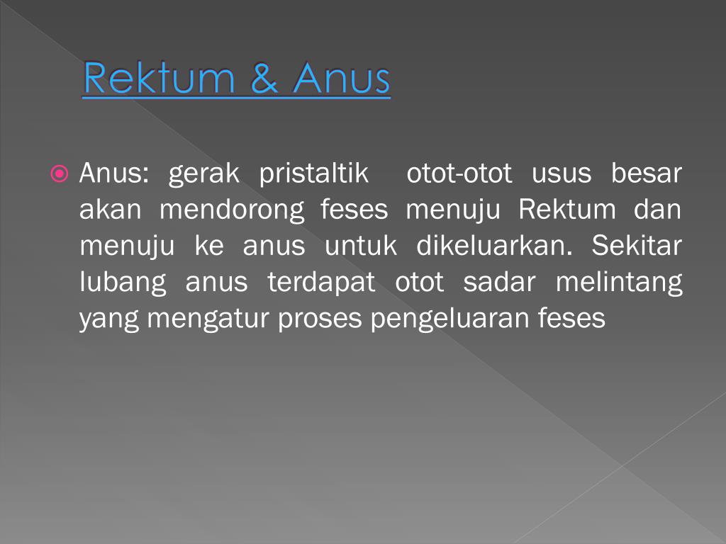PPT - SISTEM PENCERNAAN PADA MANUSIA PowerPoint Presentation, free ...