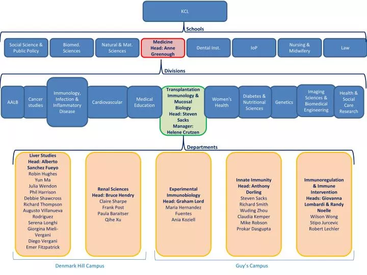 PPT - KCL PowerPoint Presentation, free download - ID:6159389