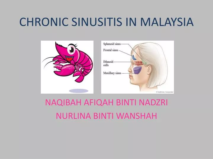 PPT - CHRONIC SINUSITIS IN MALAYSIA PowerPoint Presentation, free download - ID:6159952
