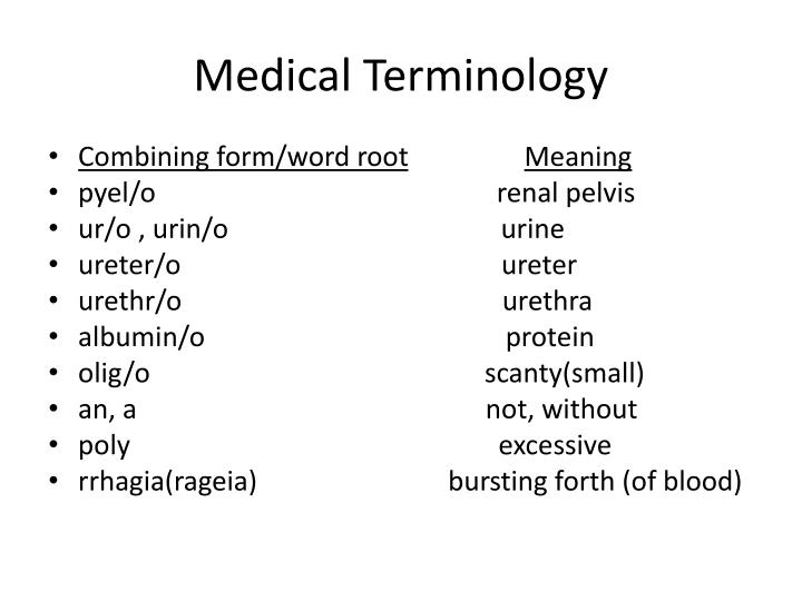 PPT - Medical Terminology PowerPoint Presentation - ID:6160922