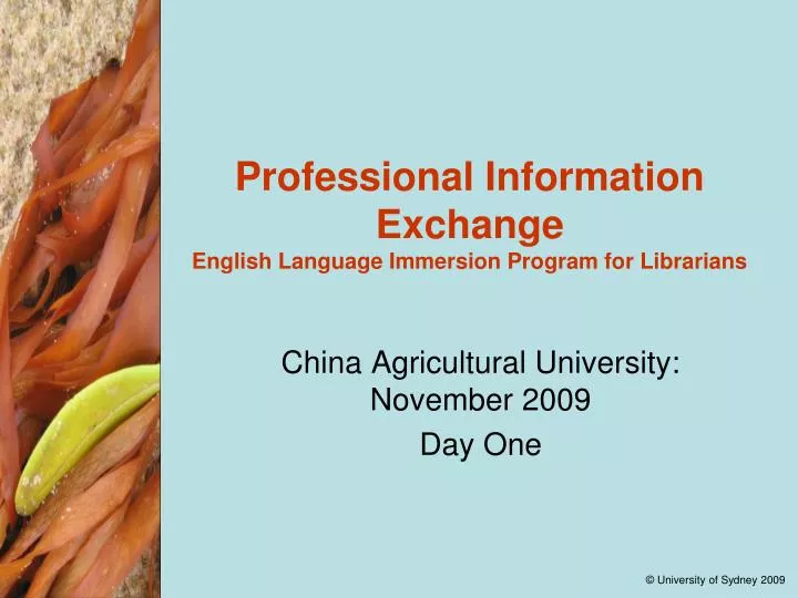PPT - Professional Information Exchange English Language Immersion ...