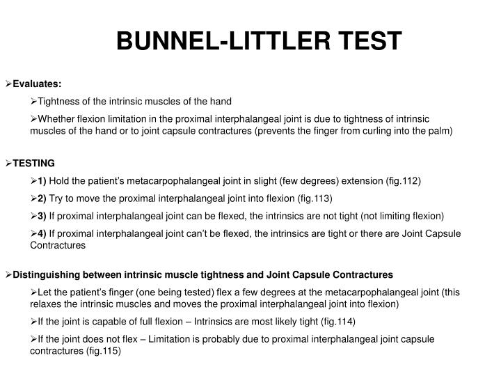 PPT - LAB 3: UPPER EXTREMITY: PART II – MUSCLE TESTING FOR SHOULDER ...