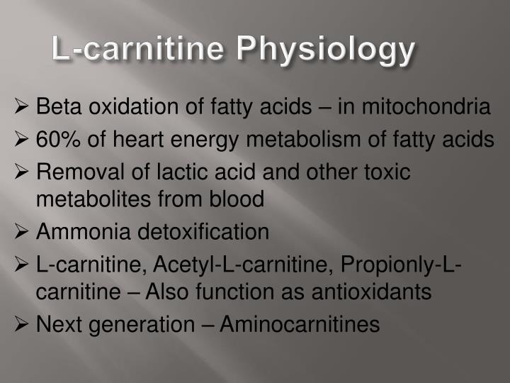 PPT - metabolic cardiology PowerPoint Presentation - ID:6165495
