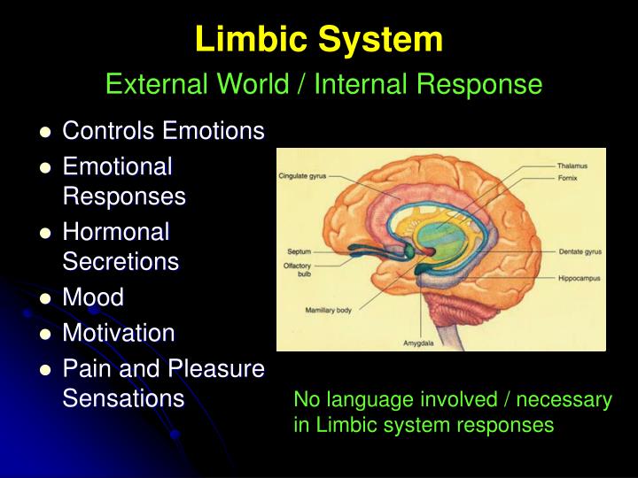 PPT - The Psychological Aftermath of Critical Incidents PowerPoint ...