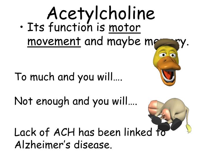 PPT - Neural and Hormonal Systems PowerPoint Presentation - ID:6166155