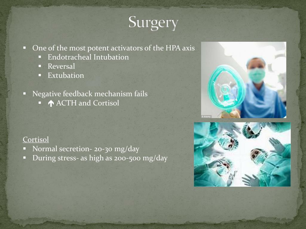 PPT - Acute Adrenal Crisis Related to Exogenous Steroid Use and ...