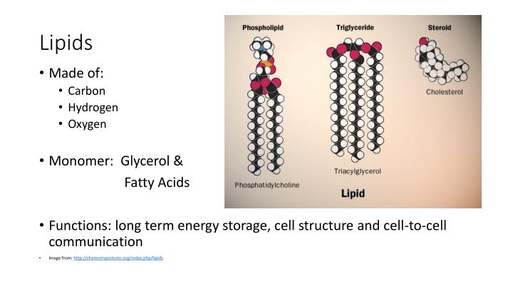 PPT - Organic Chemistry PowerPoint Presentation - ID:6166402