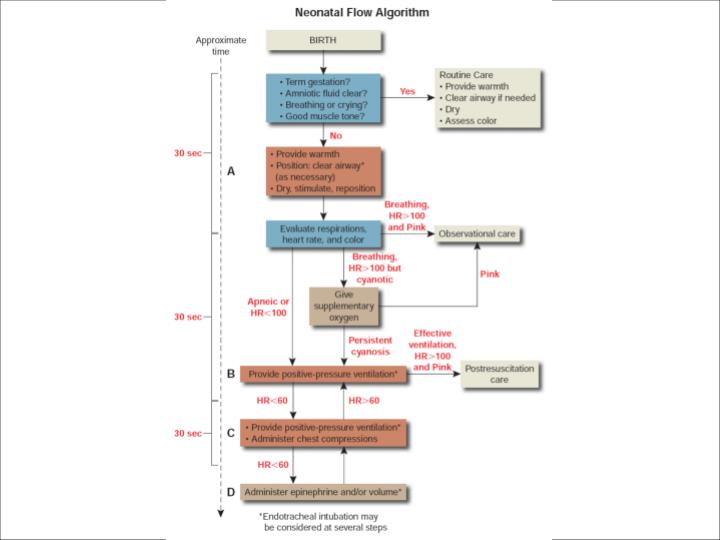 PPT - Neonatology PowerPoint Presentation - ID:6169193