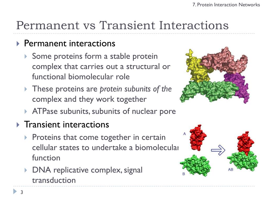 Ppt Protein Interaction Networks Powerpoint Presentation Free