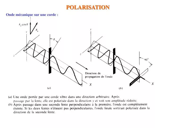 PPT - POLARISATION PowerPoint Presentation, free download - ID:6170125
