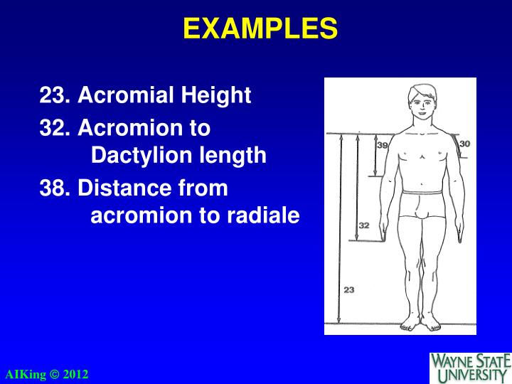 PPT - HUMAN ANTHROPOMETRY PowerPoint Presentation - ID:6171667