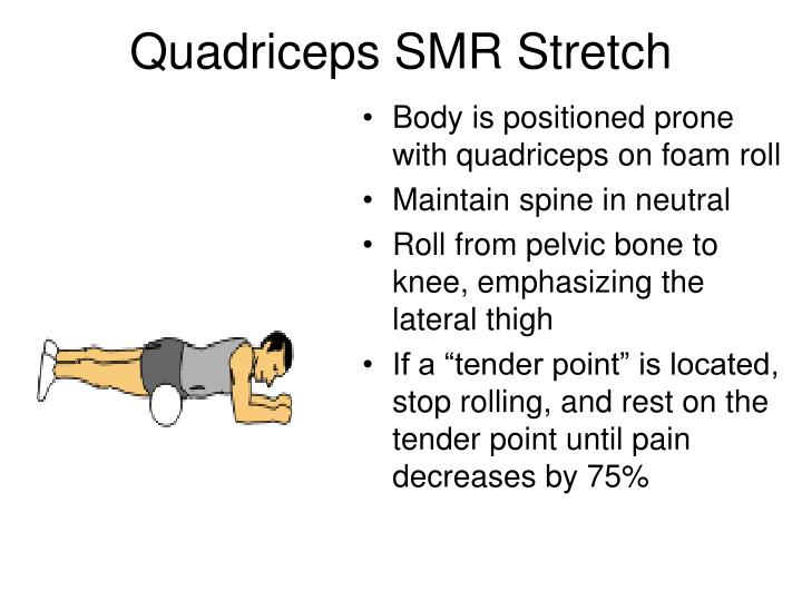 PPT - Warm-Up, Stretching and Self-Myofascial Release Using Foam ...