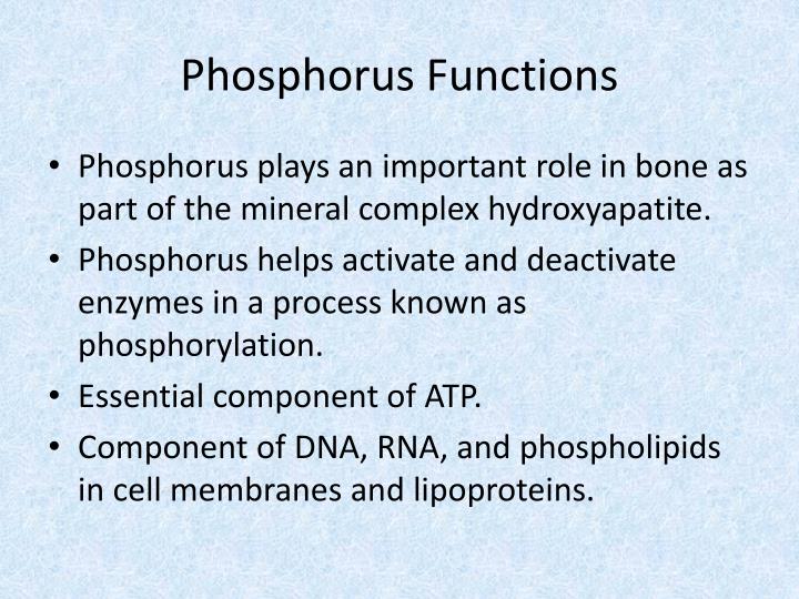 PPT - Major Minerals PowerPoint Presentation - ID:6173860