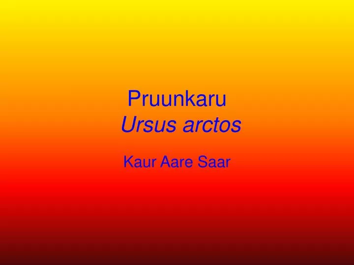 PPT - Pruunkaru Ursus arctos PowerPoint Presentation, free download ...