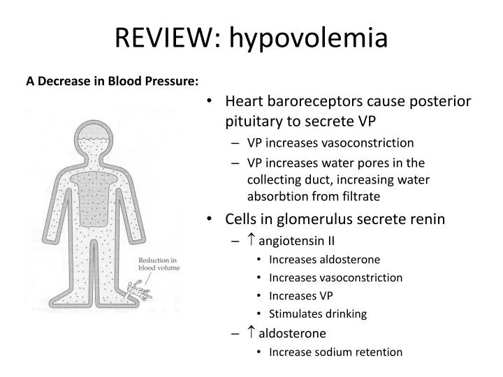 PPT - REVIEW: hypovolemia PowerPoint Presentation, free download - ID ...