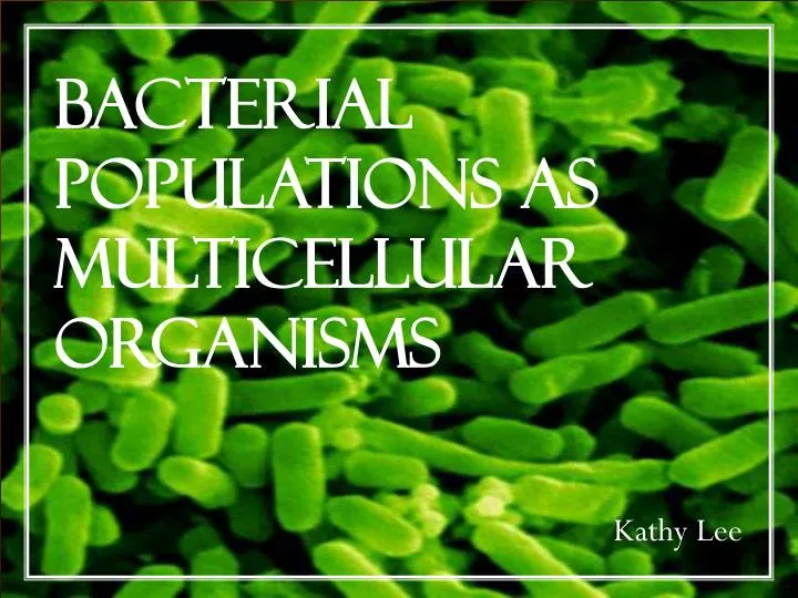 PPT - Bacterial Populations as Multicellular Organisms PowerPoint ...