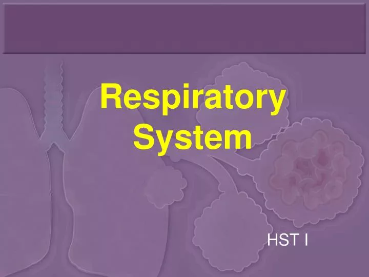 PPT - Respiratory System PowerPoint Presentation, free download - ID ...