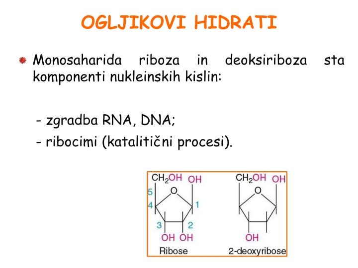 PPT - 15. VAJA: PowerPoint Presentation - ID:6180472
