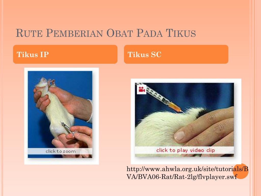 PPT - Metode Farmakologi TOKSIKOLOGI PowerPoint Presentation, free ...