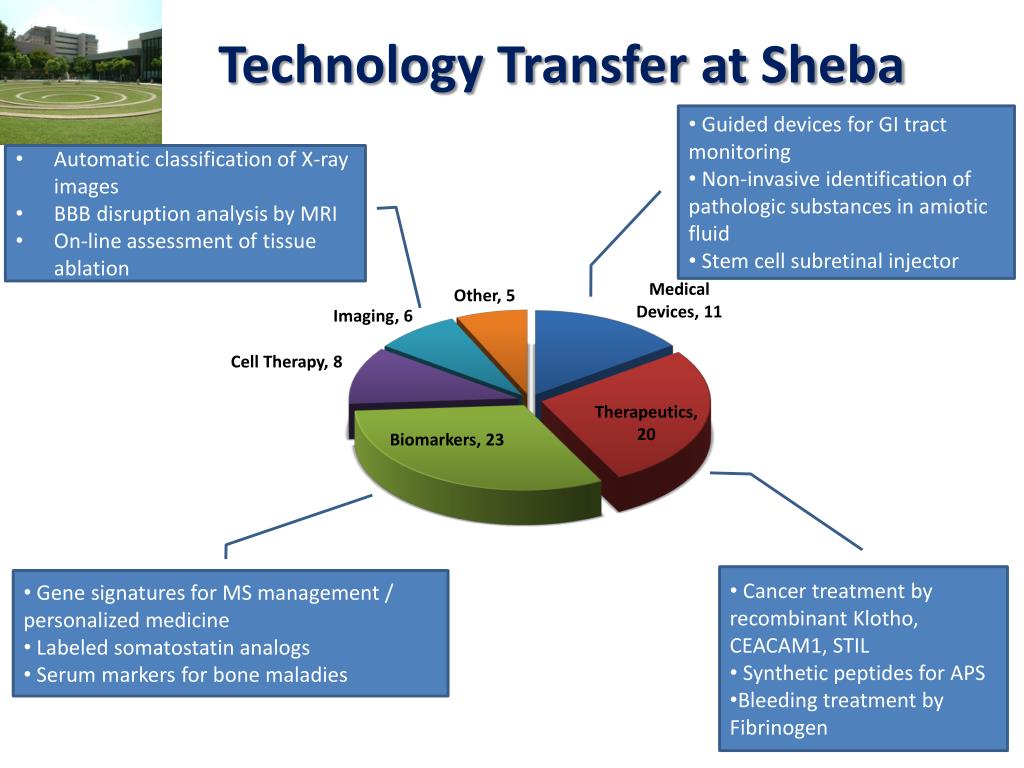 PPT - The Sheba Medical Center sheba.co.il PowerPoint Presentation ...