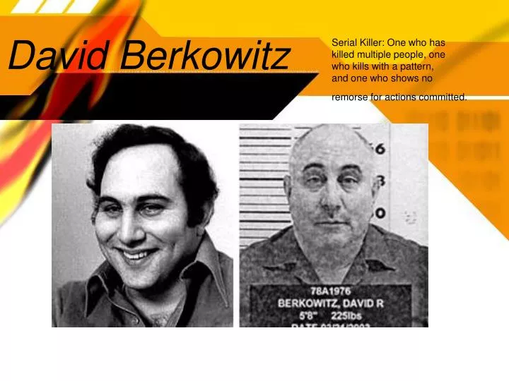 PPT - David Berkowitz PowerPoint Presentation, free download - ID:6181656