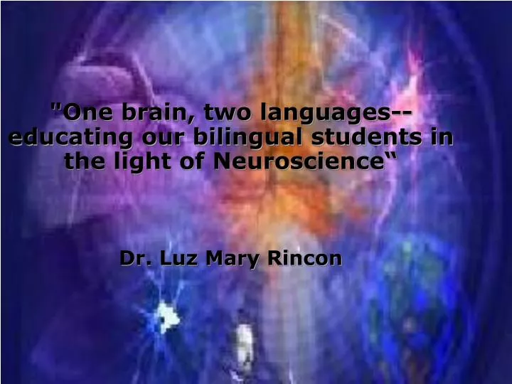 PPT - The human brain PowerPoint Presentation, free download - ID:6181681