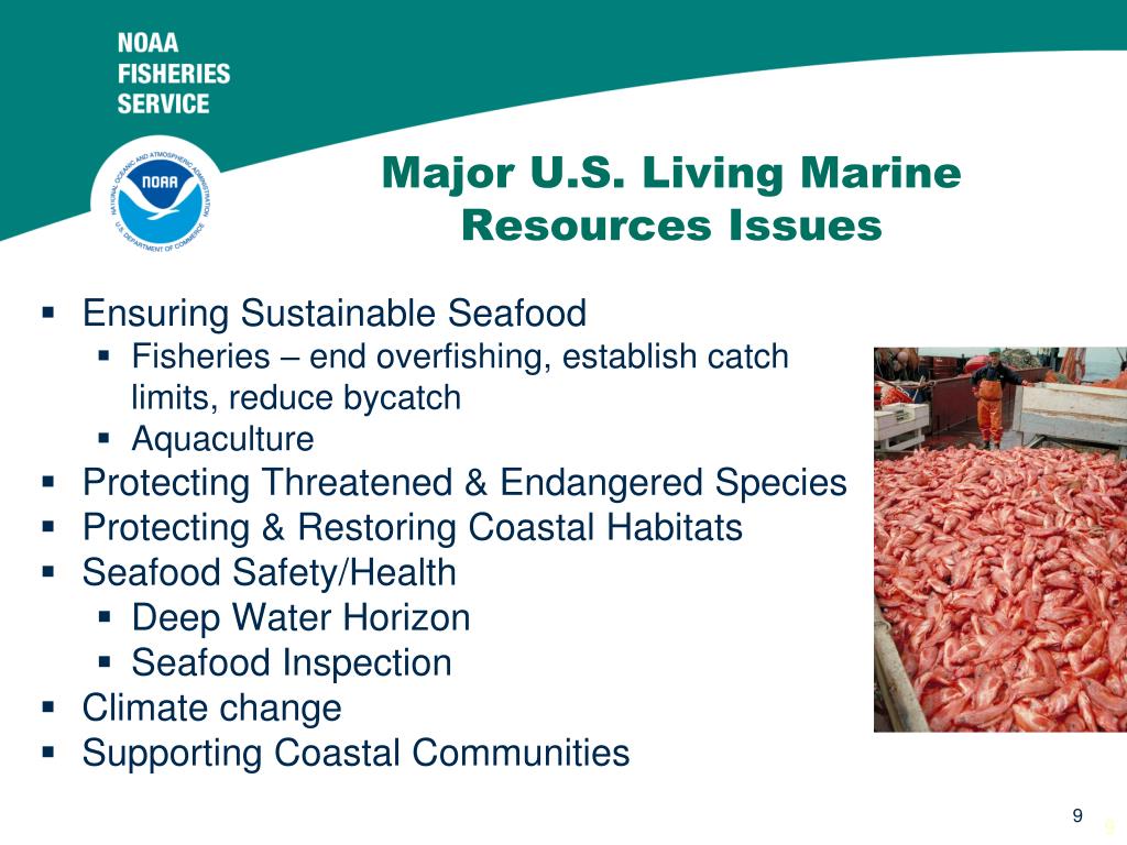 PPT - NOAA and the National Marine Fisheries Service PowerPoint ...