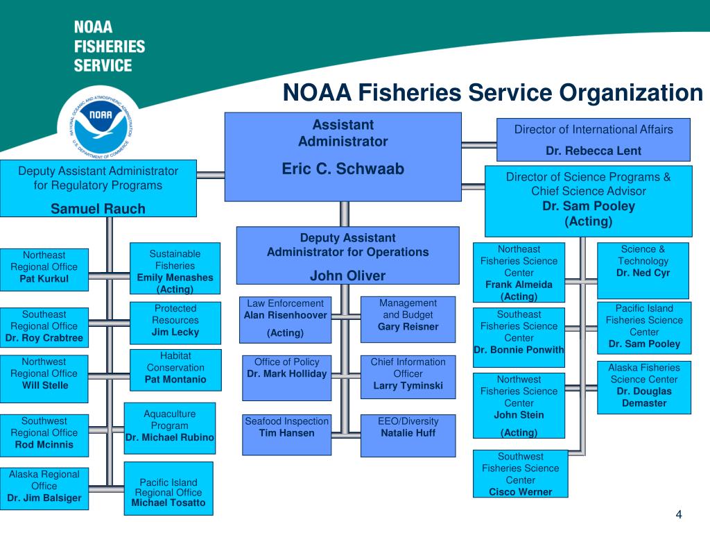 PPT - NOAA and the National Marine Fisheries Service PowerPoint ...