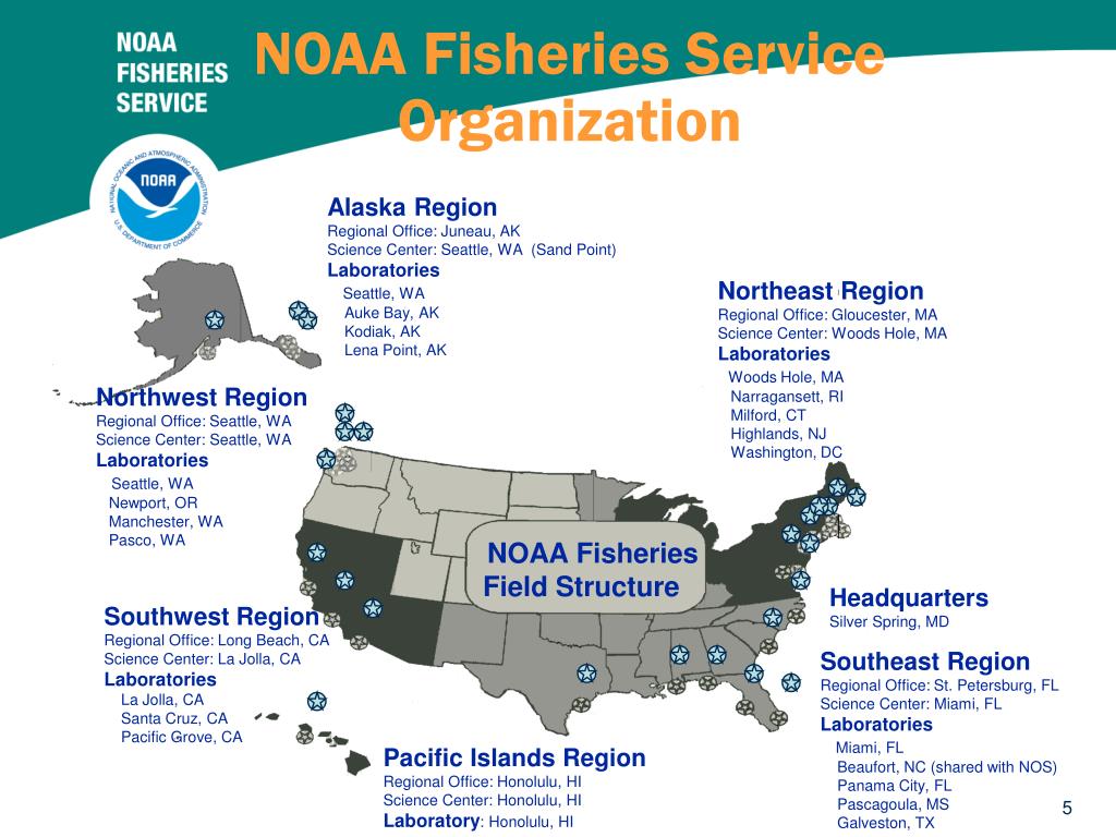 PPT - NOAA and the National Marine Fisheries Service PowerPoint ...