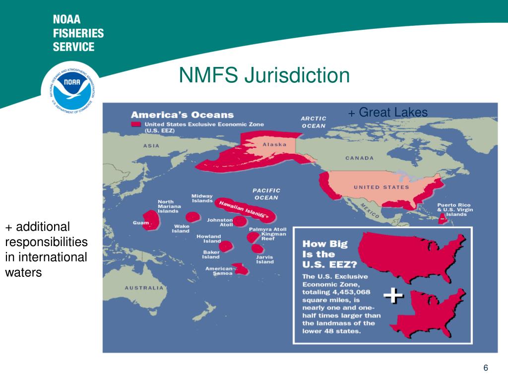 PPT - NOAA and the National Marine Fisheries Service PowerPoint ...