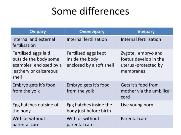 PPT - OVIPARY, OVOVIVIPARY, VIVIPARY PowerPoint Presentation - ID:6183201