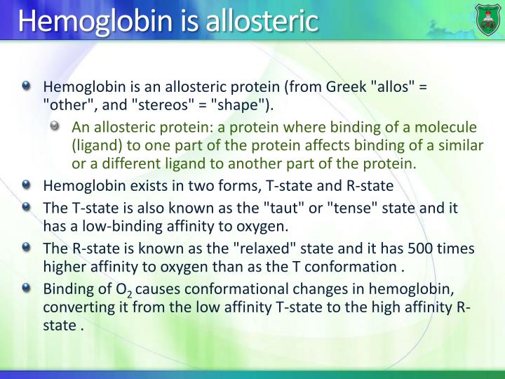 PPT - Globular proteins Myoglobin and hemoglobin PowerPoint ...