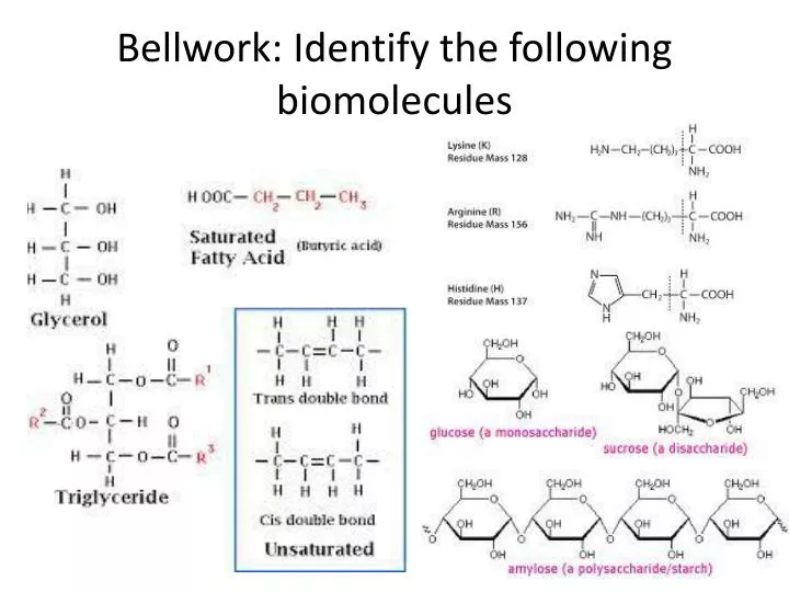 PPT - Bellwork : Identify the following biomolecules PowerPoint ...