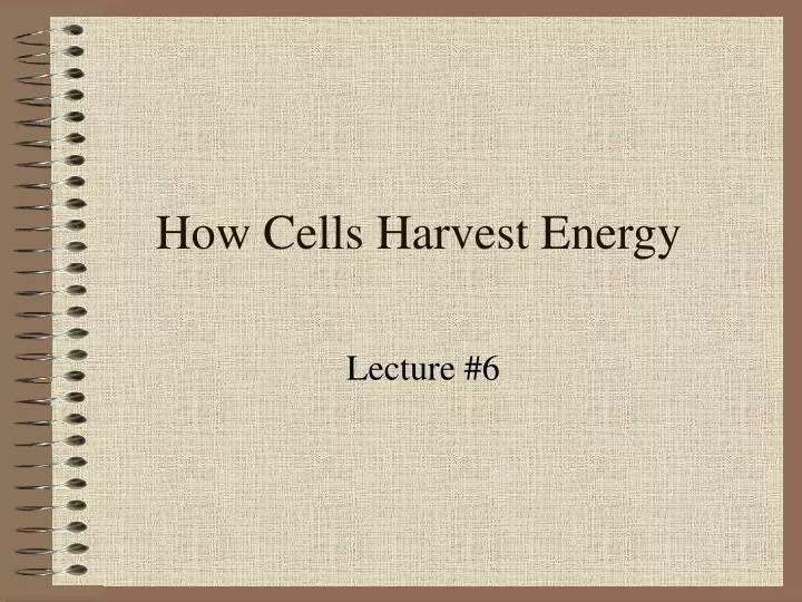 PPT - How Cells Harvest Energy PowerPoint Presentation, free download ...