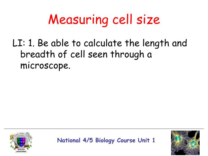 PPT - Unit One: Cell Biology PowerPoint Presentation - ID:6184909