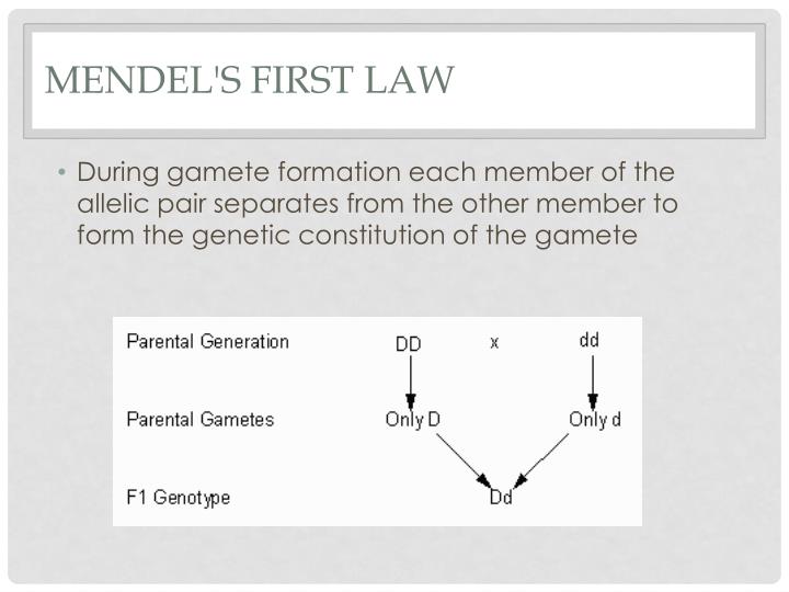 PPT - Hardy- Weinberg and Mendel’s Law PowerPoint Presentation - ID:6185102