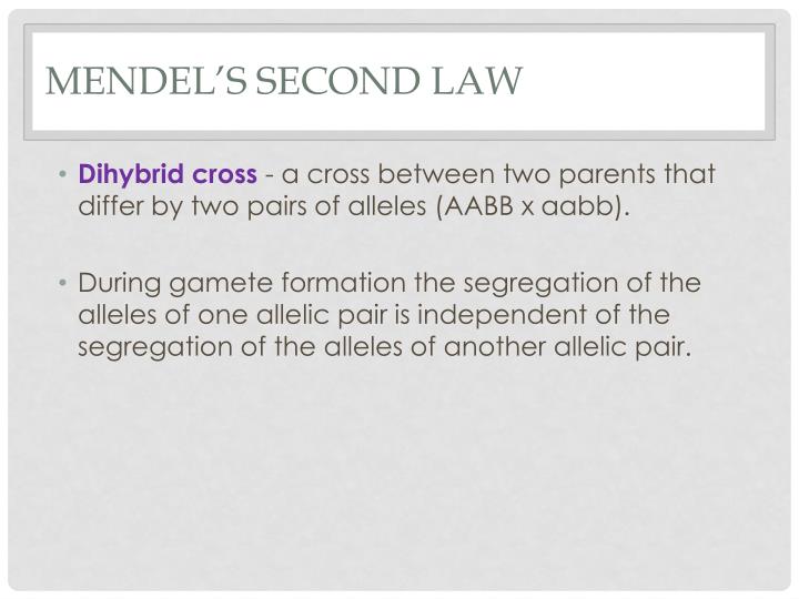 PPT - Hardy- Weinberg and Mendel’s Law PowerPoint Presentation - ID:6185102