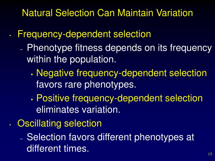 PPT - Hardy-Weinberg Principle PowerPoint Presentation - ID:6185359