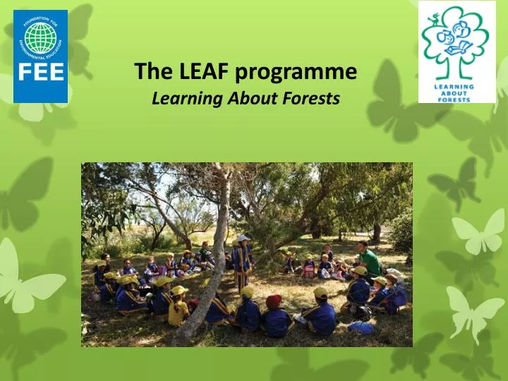 PPT - The LEAF programme Learning About Forests PowerPoint Presentation ...