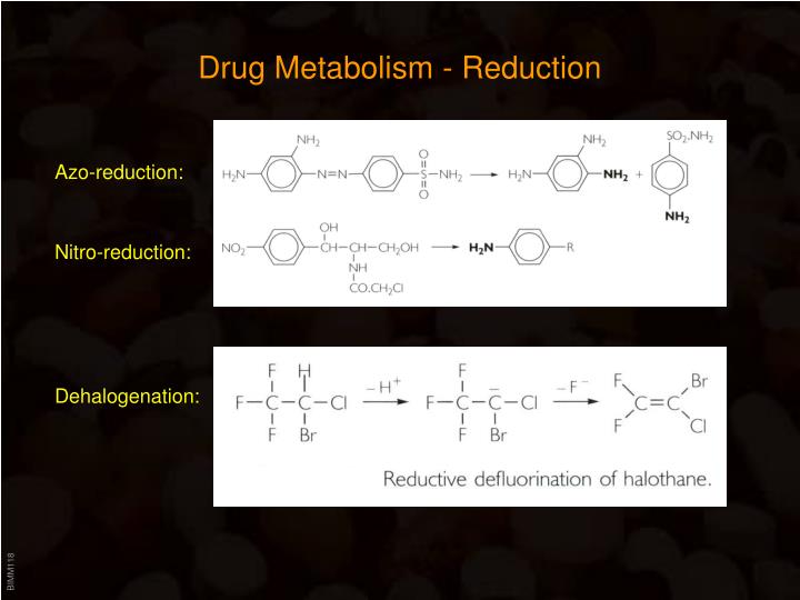 PPT - Drug Metabolism and Elimination PowerPoint Presentation - ID:6185874