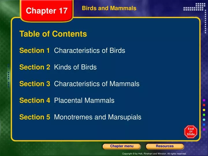 PPT - Birds and Mammals PowerPoint Presentation, free download - ID:6186477